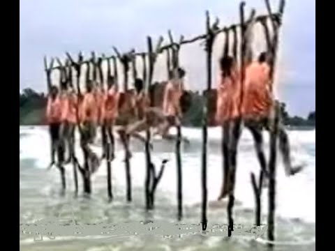 Expedicion Robinson 2 Argentina - Episodio 8 Survivor - YouTube