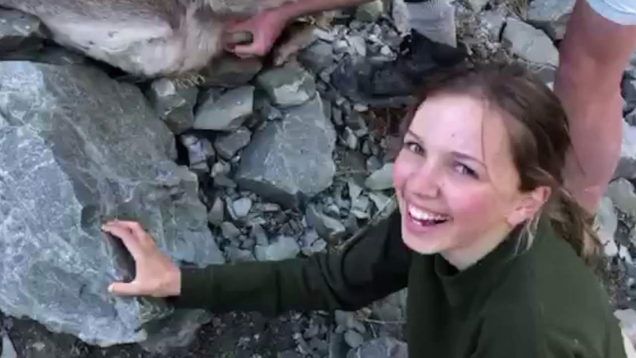 Hunting Club Macaulay Hut 4WD Trip New Zealand - YouTube