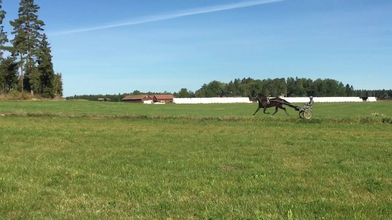 Amalia Cash! - YouTube