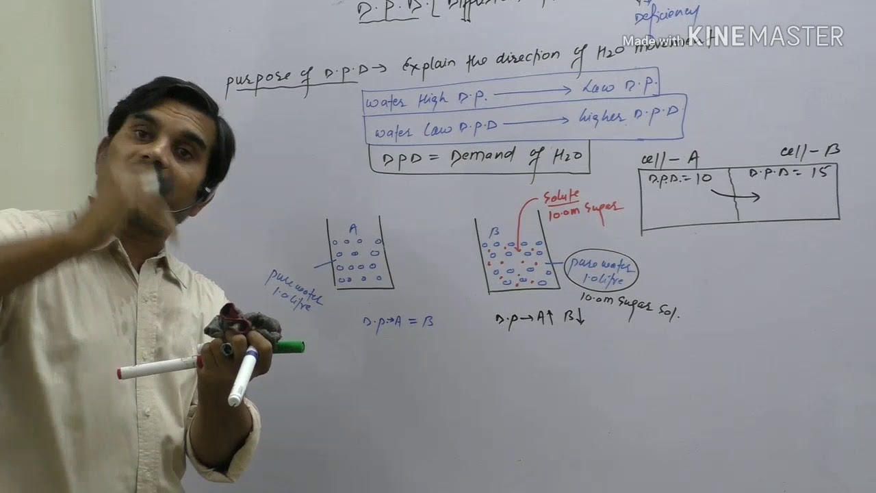 DPD{Diffusion Pressure Deficit} : Transport in plants - YouTube