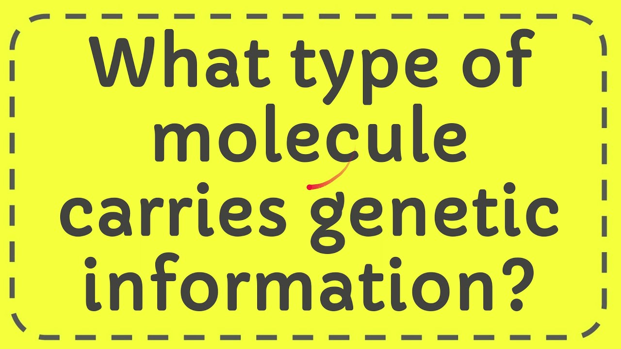Type Of Molecule Carries Genetic Information at Ruth Tovar blog