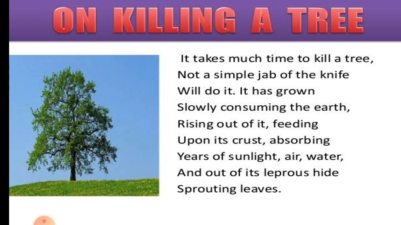 Class 9 Ll ENGLISH LITERATURE Ll On Killing A Tree Explanation Part 1 class-9-ll-english-literature-ll-on-killing-a-tree-explanation-part-1