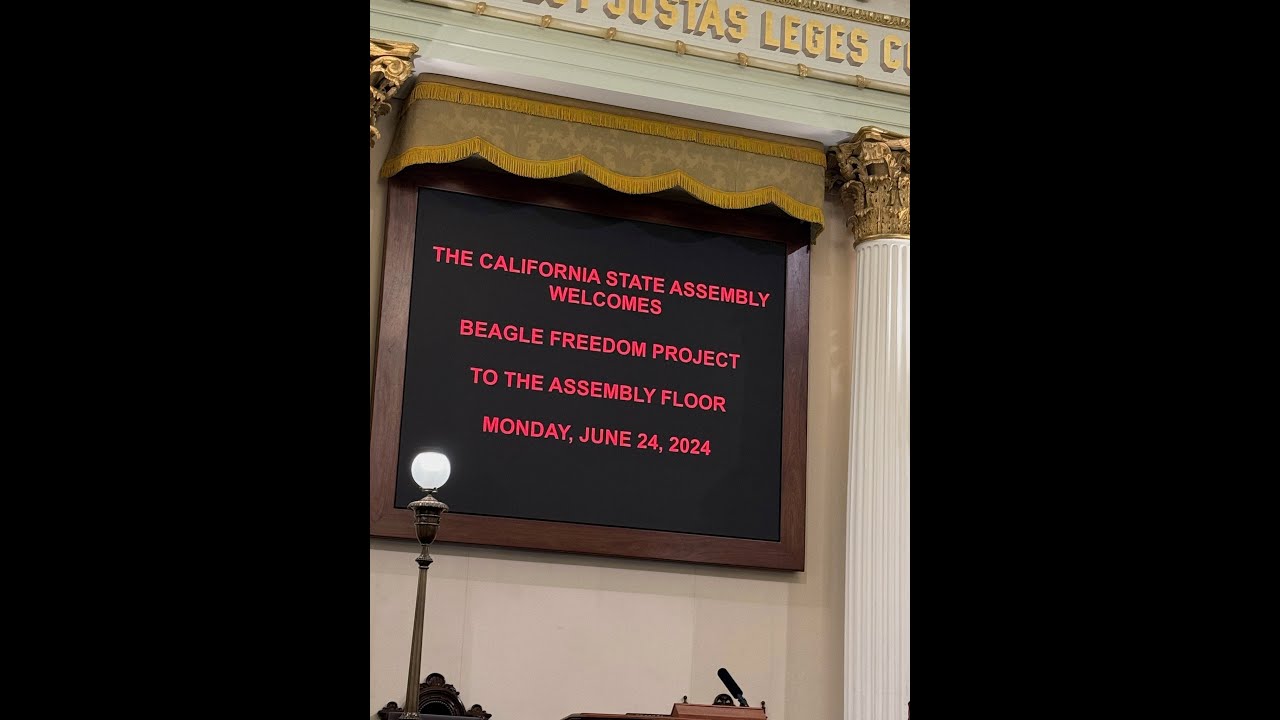 Assembly Member Marie Waldron honors Beagle Freedom Project - YouTube