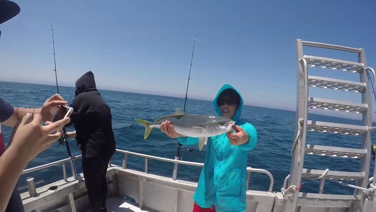 Fishing Charter Cronulla - YouTube