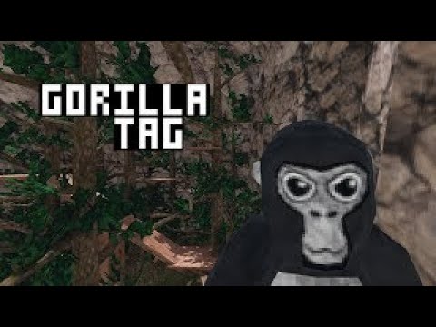 Gorilla Tag//Pvvb//Pbbv sighting (entity is here!) - YouTube