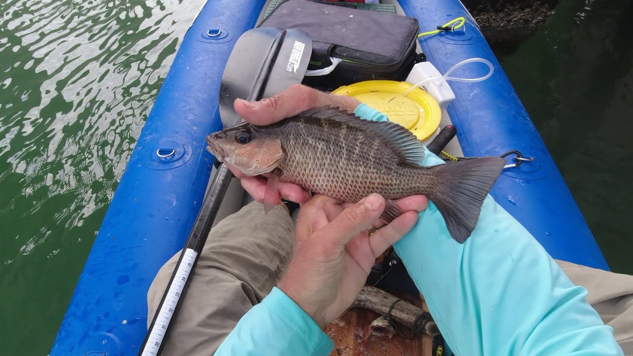 DIY Florida Kayak Fishing Trip - YouTube
