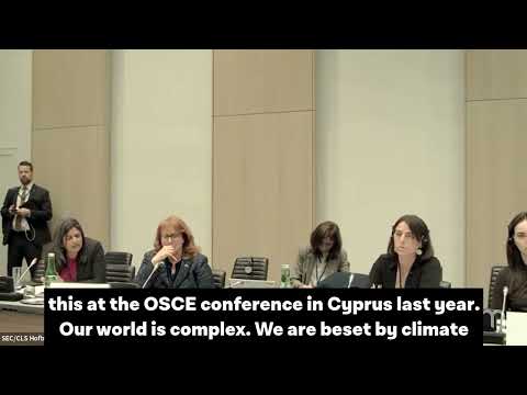 Rupa Huq MP speaks in support of Ukraine and Armenia at OSCE meeting in Vienna