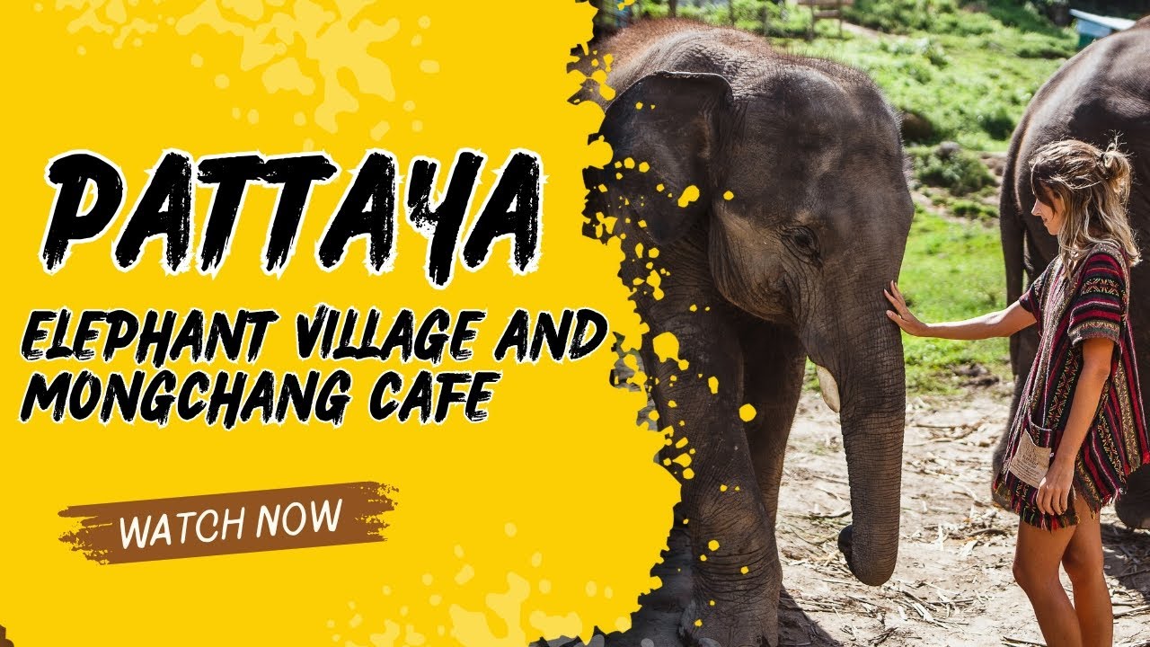 Pattaya Elephant Village & Mongchang Cafe Adventure | Book Your Ticket Now Of Pattaya Elephant ...