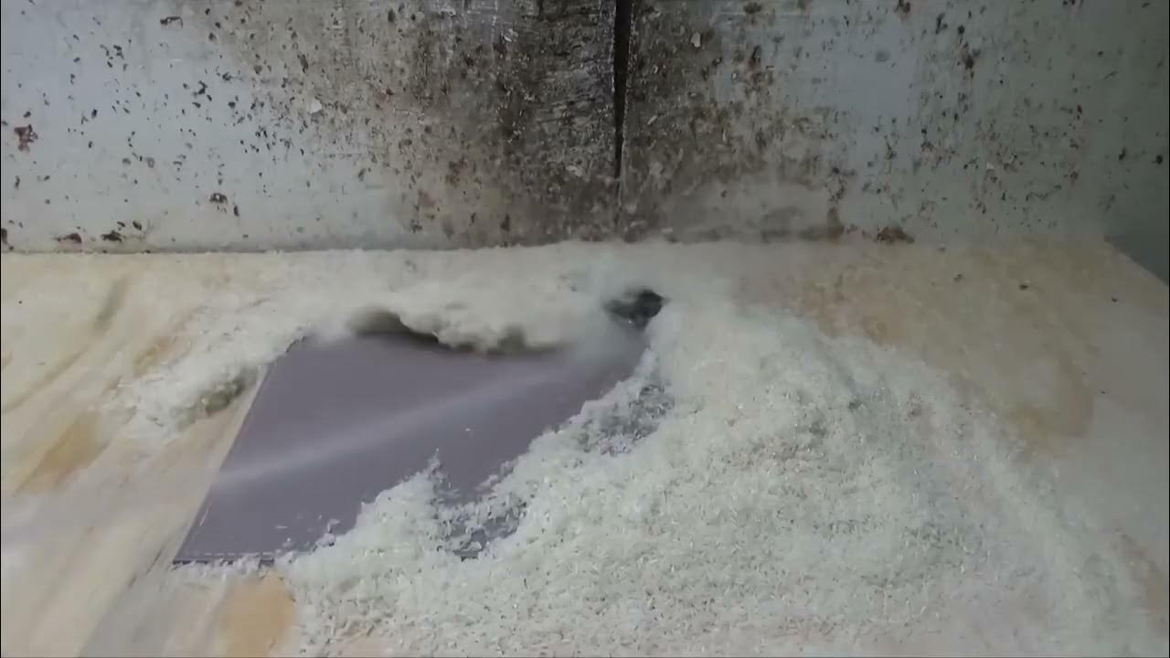 How To Fix a Water Damaged iPhone (Old HowToBasic) - YouTube