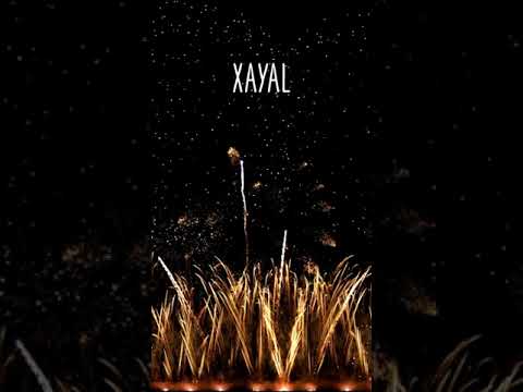 HAPPY BIRTHDAY XAYAL !