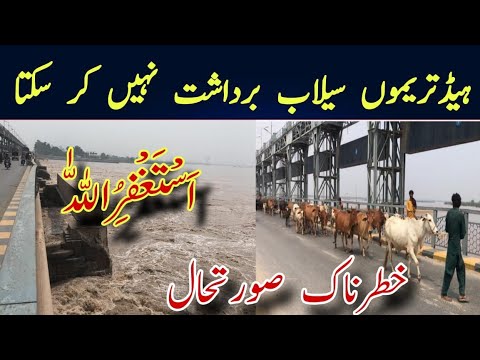 Head Trimmu Jhang Latest update || Head Trimu Flood update||18 Hazari ...