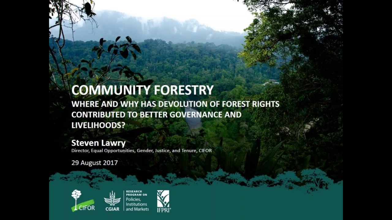 Where and why has devolution of forest rights contributed to better ...