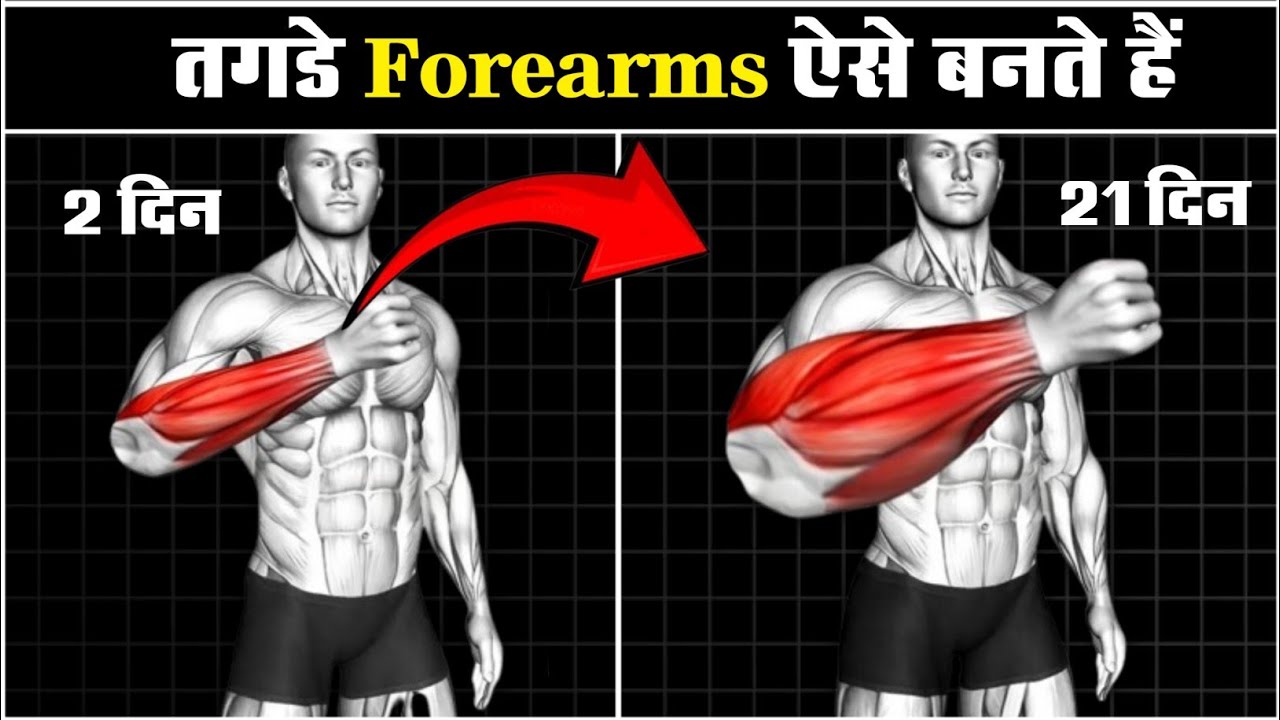 मस्कुलर Forearms कैसें बनाए | How to Get Mascular Forearms | Forearms ...