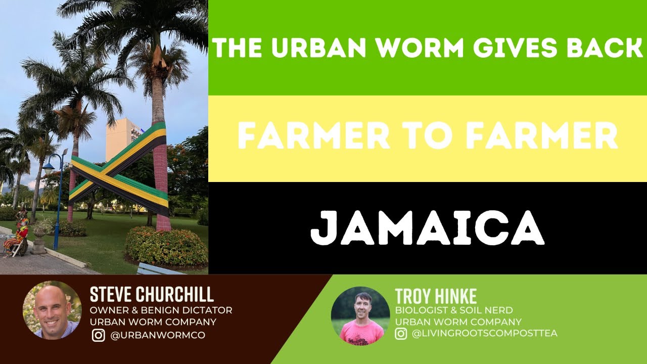 The Urban Worm Gives Back In Jamaica - YouTube