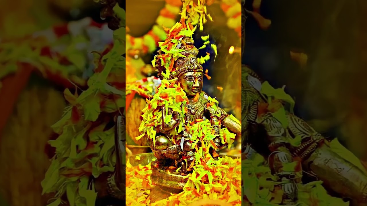 Swami appa Ayyappa #devotional #devotionalstatus - YouTube