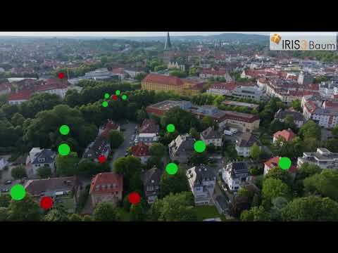 Sichere Baumverwaltung & Verkehrssicherungspflicht erfüllt | IRIS 3 Baum von MegaCAD Stadtplanung