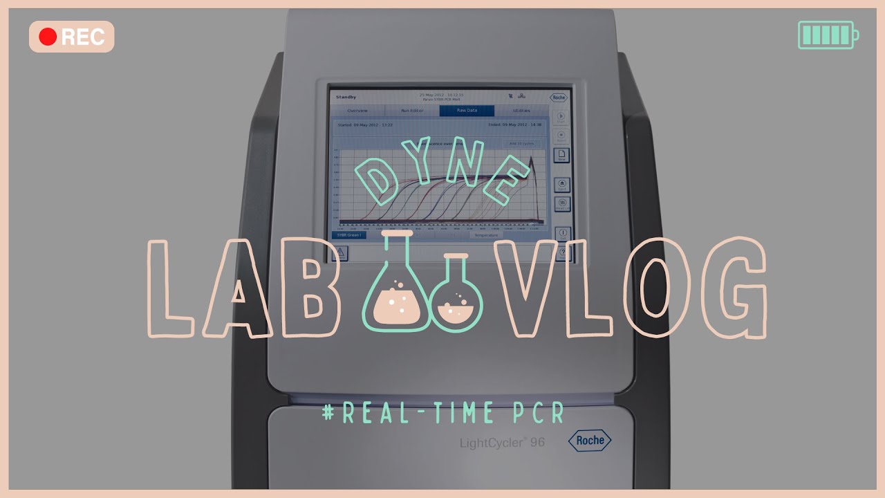 Real-time PCR 실험하기 (Roche LightCycler96) - YouTube