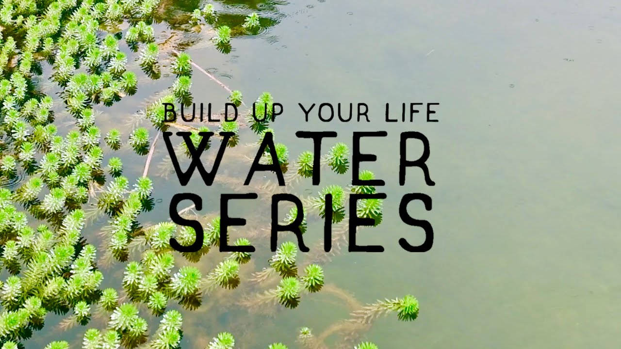 Foundations - Build up Your Life - Water Series - YouTube