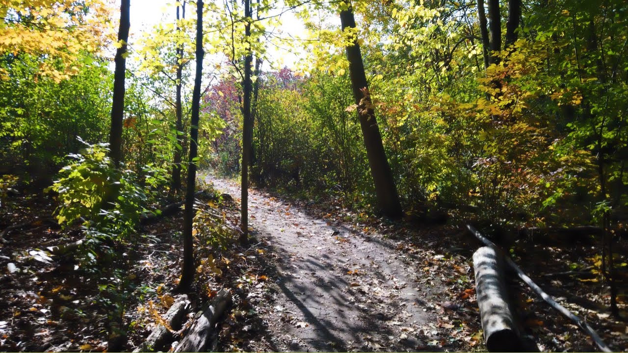 Autumn Foliage, Virtual Tour Ep. V | Heart Lake Conservation Area [4K ...