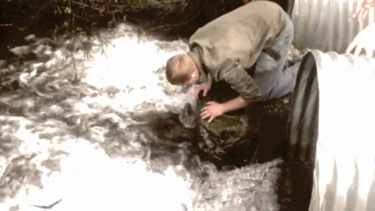 David Catches A Fish - YouTube
