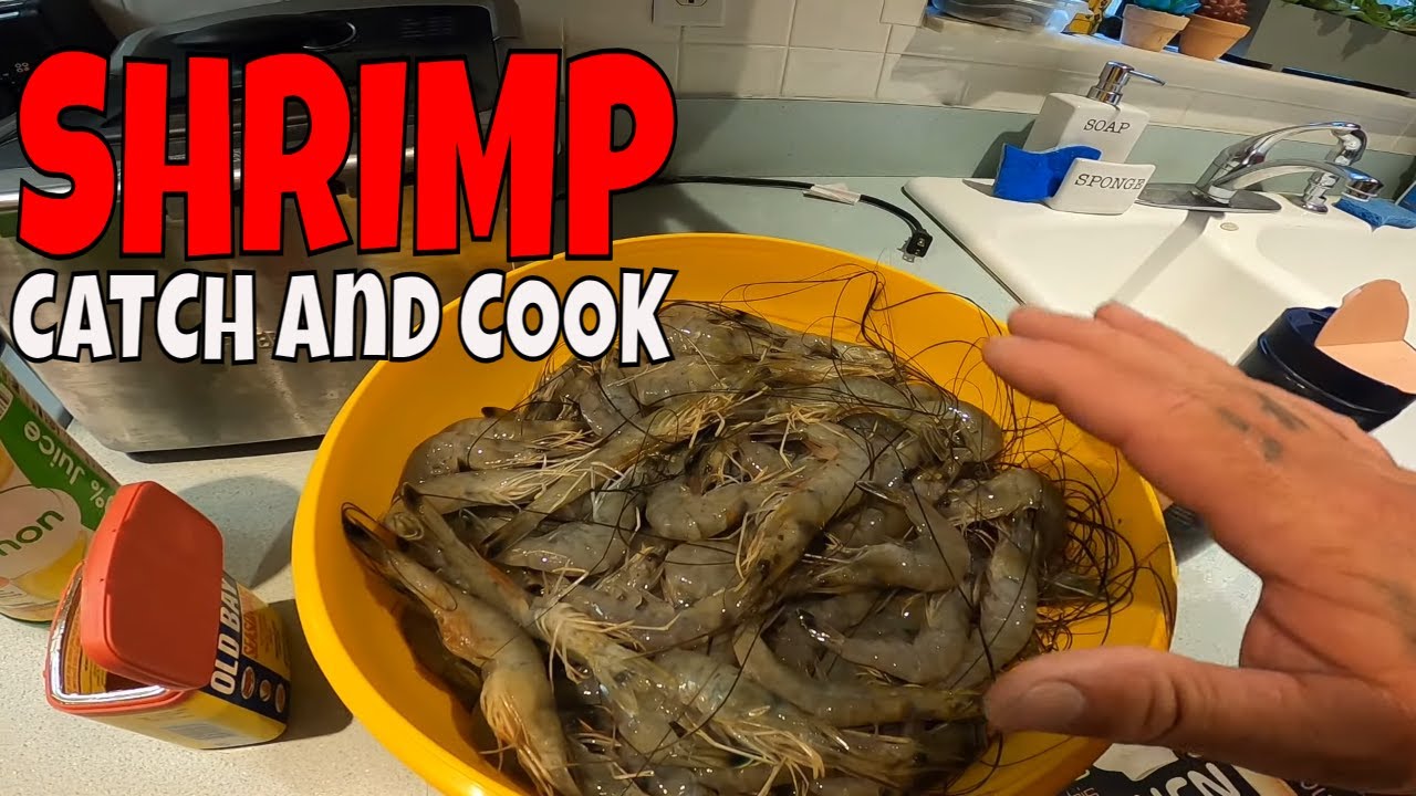 ST JOHNS RIVER SHRIMP **** CATCH and COOK **** ARE FRESHWATER SHRIMP AS ...
