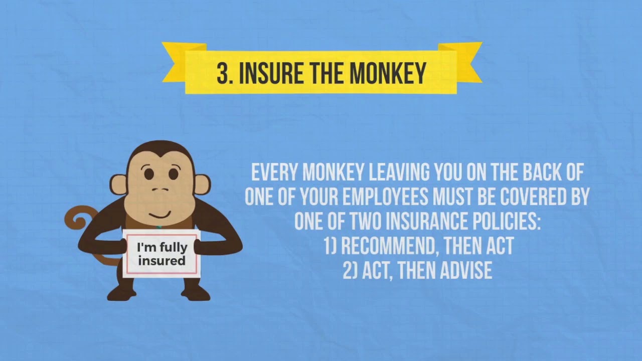 Effective Delegation Rules for Managing Monkeys - YouTube