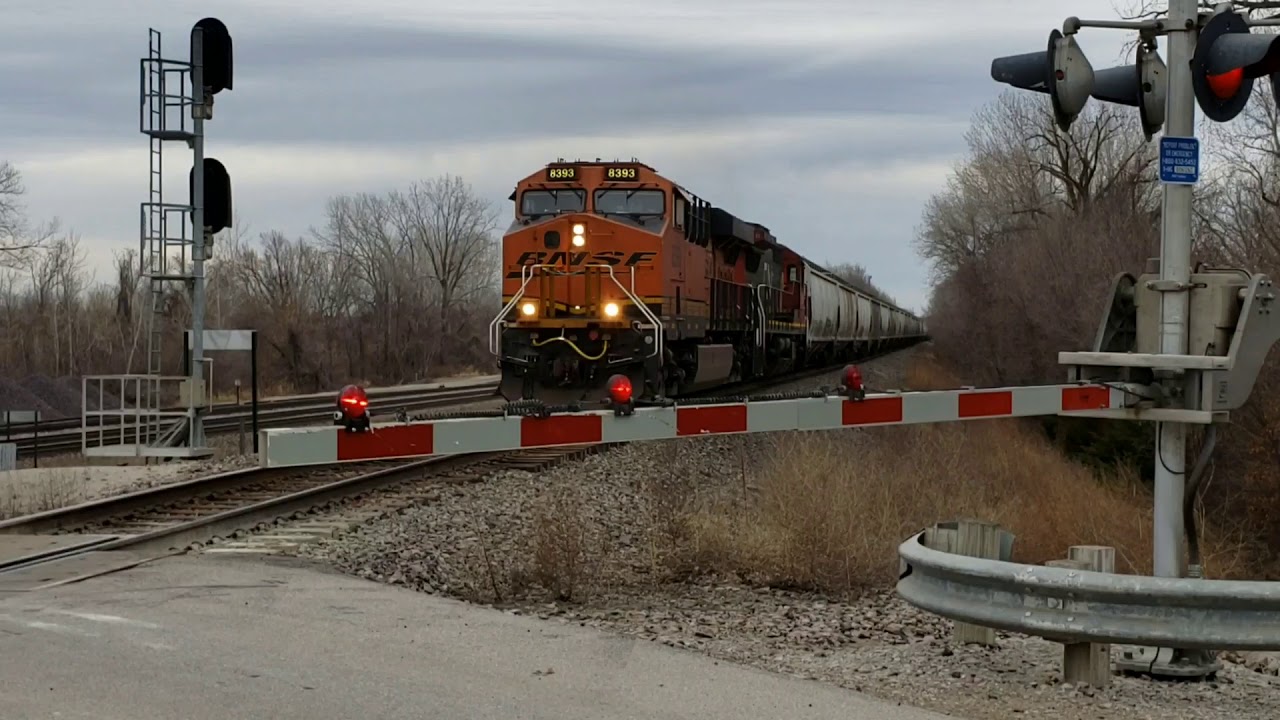 REWIND OF THE BEST TRAIN CATCHES OF JANUARY 2019 INCLUDING NEVER BEFORE ...