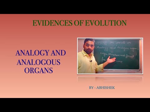 EVOLUTION PART 6 (ANALOGY AND ANALOGOUS ORGANS) - YouTube