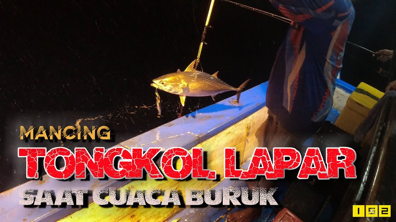 Ngomset !! Cuaca Buruk Membuat Ikan Tongkol Semakin Kelaparan !! Trip ...