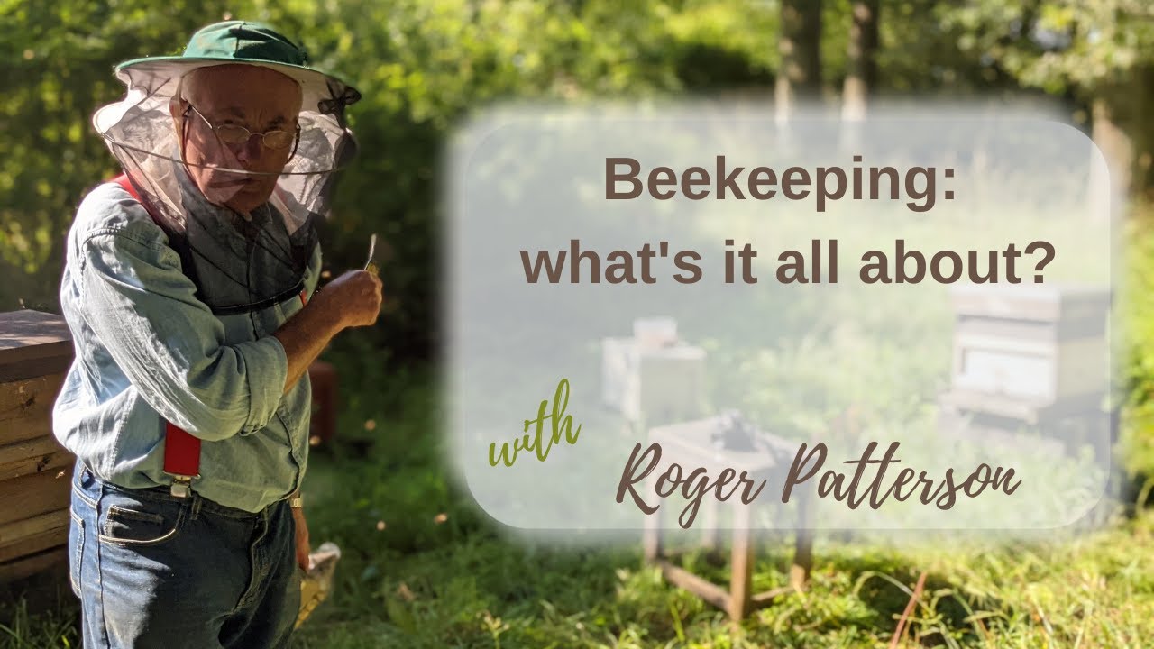 Beekeeping: What's it all about? - YouTube