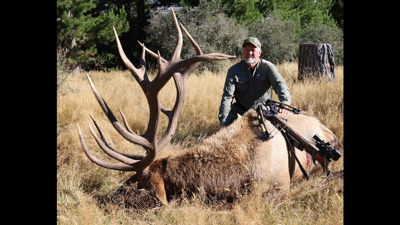 Wayne Bomstad Outdoors, NZ, Elk, 2015 - YouTube