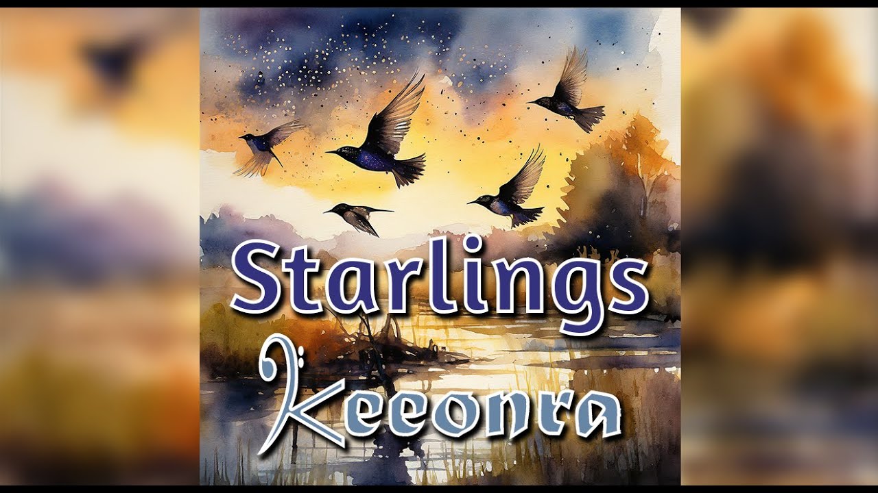 Starlings | Original Music Video - YouTube