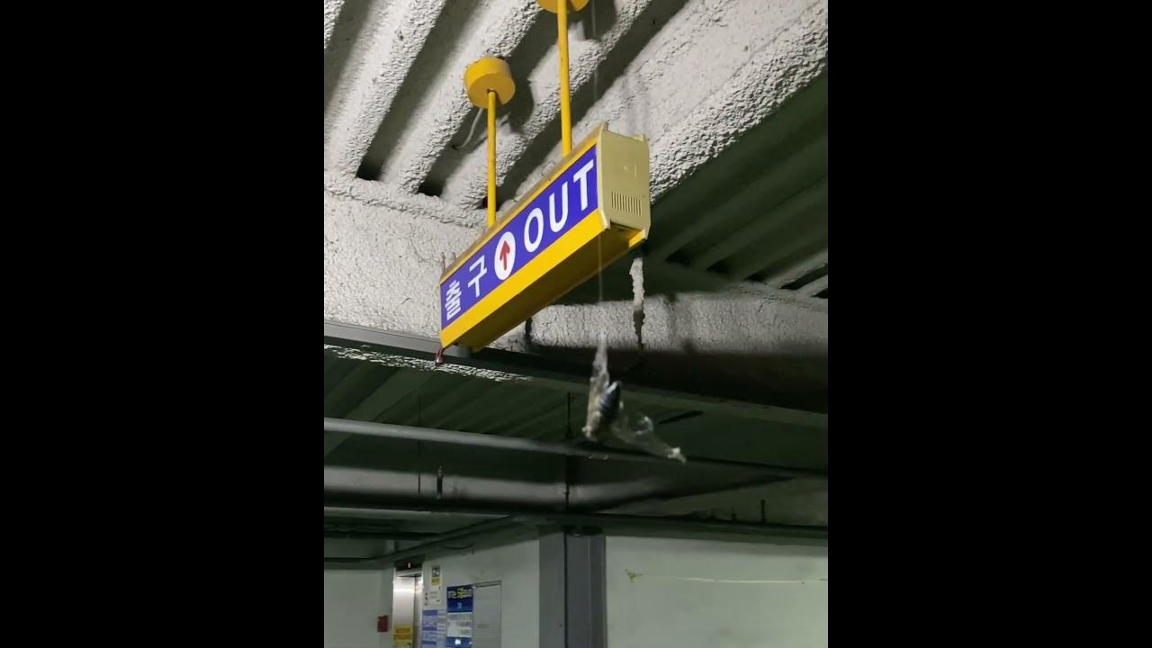 지하주차장에서 무슨일이 벌어지는건지? 공포영화속 한 장면같은 것!! #거미줄 #공포영화 #공포 #거미줄에매달린 커다란 물체 ...