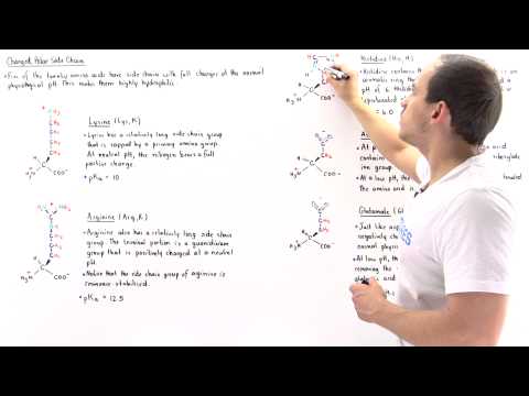 Basic and Acidic Amino Acids