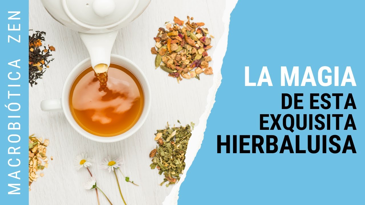 Hierba Luisa 🌿 RELAJANTE y DIGESTIVA | Propiedades y Beneficios - YouTube