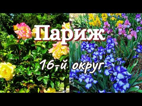 ПРОГУЛКА СРЕДИ РОЗ. ПАРИЖ 16-й округ