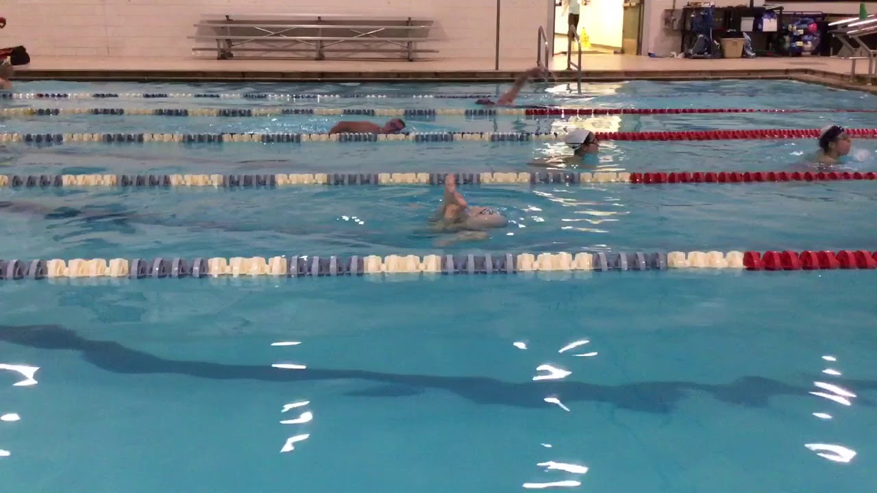 Caroline seagull nov 14 - YouTube