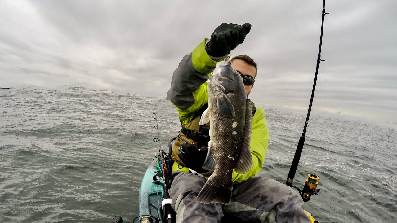 Culling For A Keeper 11/15/22 - YouTube