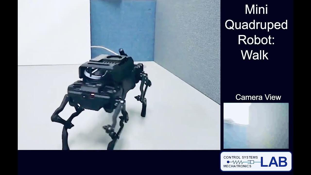 Mini Quadruped Robot: Walk - YouTube