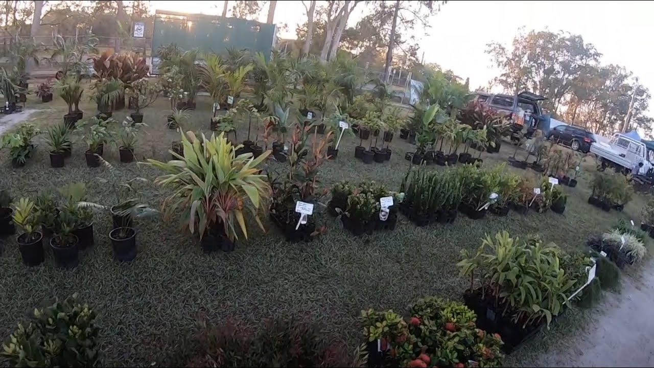 FLEA MARKET/FARMERS MARKET CABOOLTURE QUEENSLAND AUSTRALIA 14TH ...