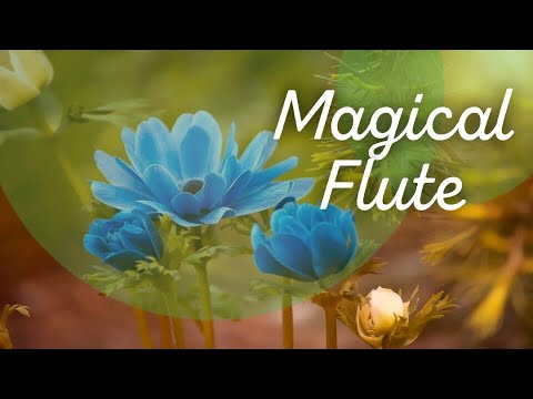 Magical Flute & Soft Guitar | Gentle Flute With Background Guitar ...