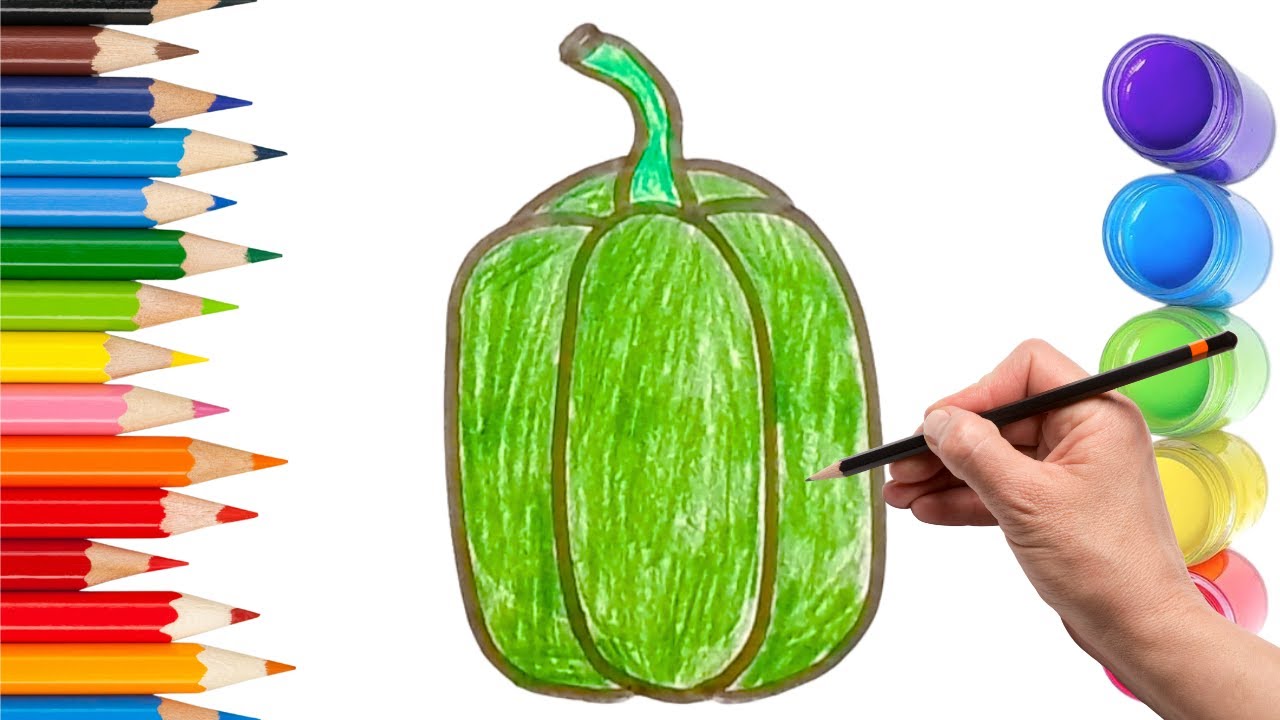 How To Draw cute capsicum Drawing, Painting & Coloring For Kids and ...