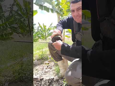Mostrando um pouco da minha rotina diária .