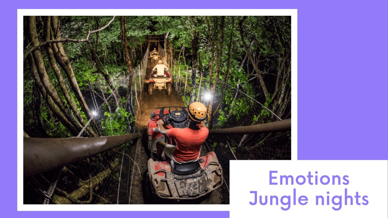 Emotions Native Park + Jungle Night - YouTube