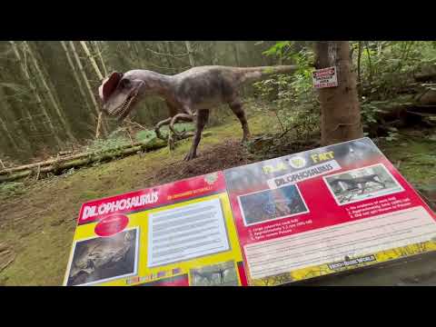 Dilophosaurus - Hoorassic World at Hoo Zoo