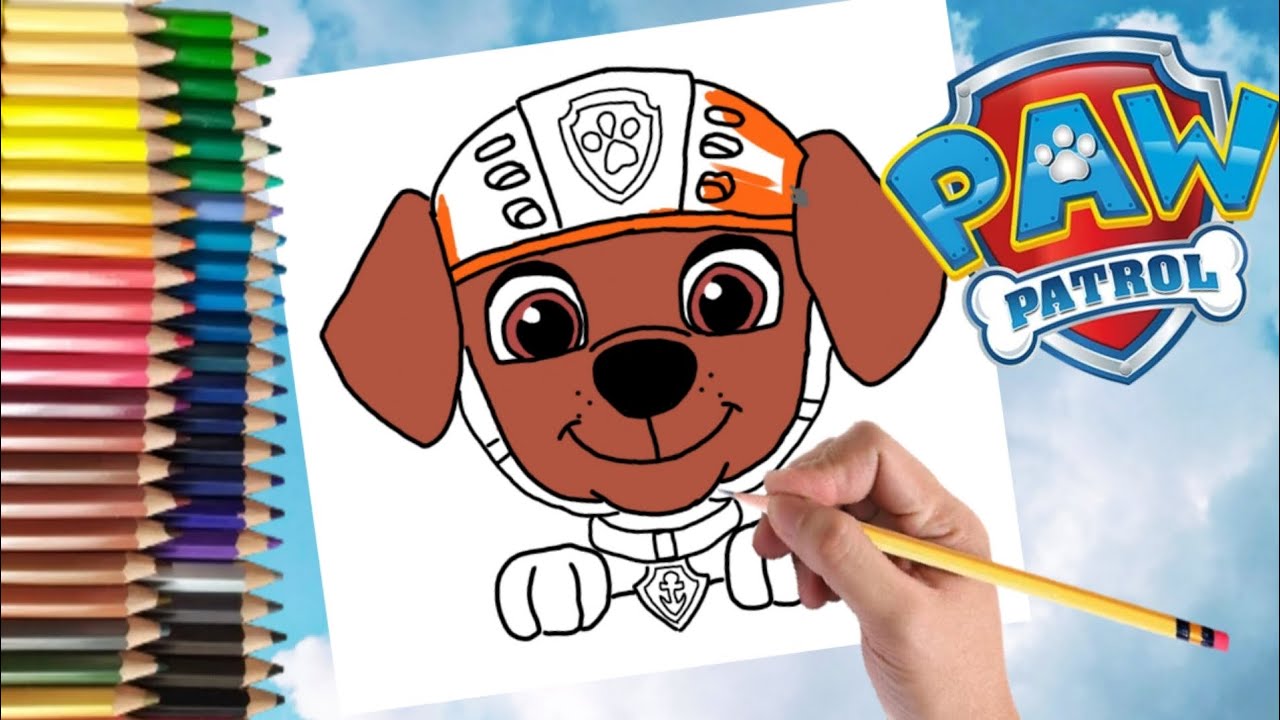 How to draw and coloring Paw Patrol Zuma ｜step by step - YouTube