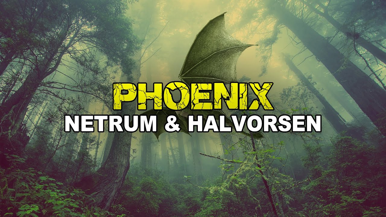 Netrum & Halvorsen - Phoenix (LYRICS) - YouTube