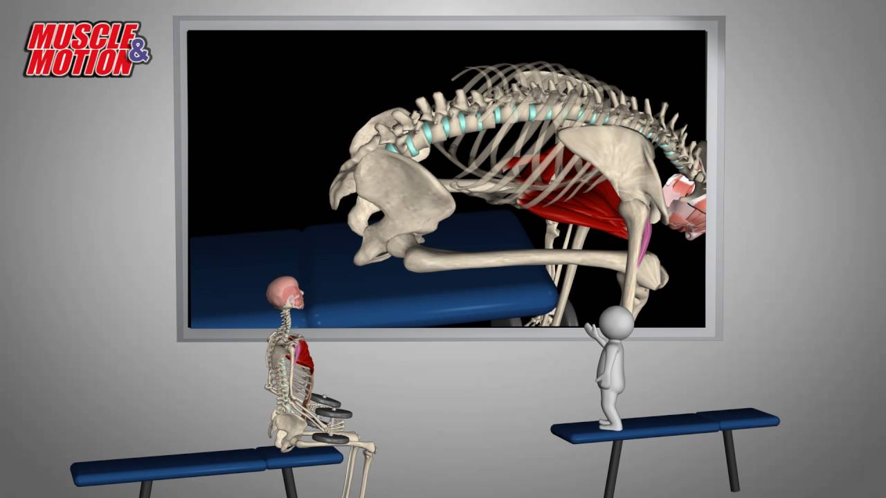Bench Press Common Mistake - YouTube