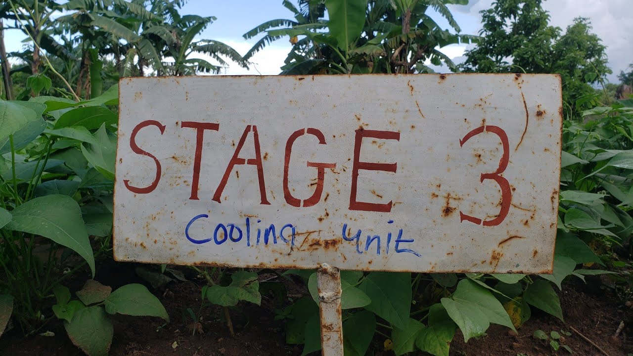 How to Make Organic Composite Manure From Home to Apply on your Farm ...