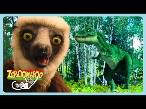 Zoboomafoo - Dinosaurs! 🦖 | HD Full Epsiodes | Great For Kids | WildBrain Zigzag